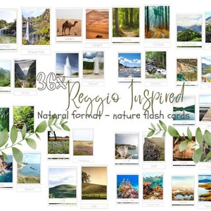 Reggio Inspired MEGA BUNDLE - Nature Classroom / Homeschool Starter ...