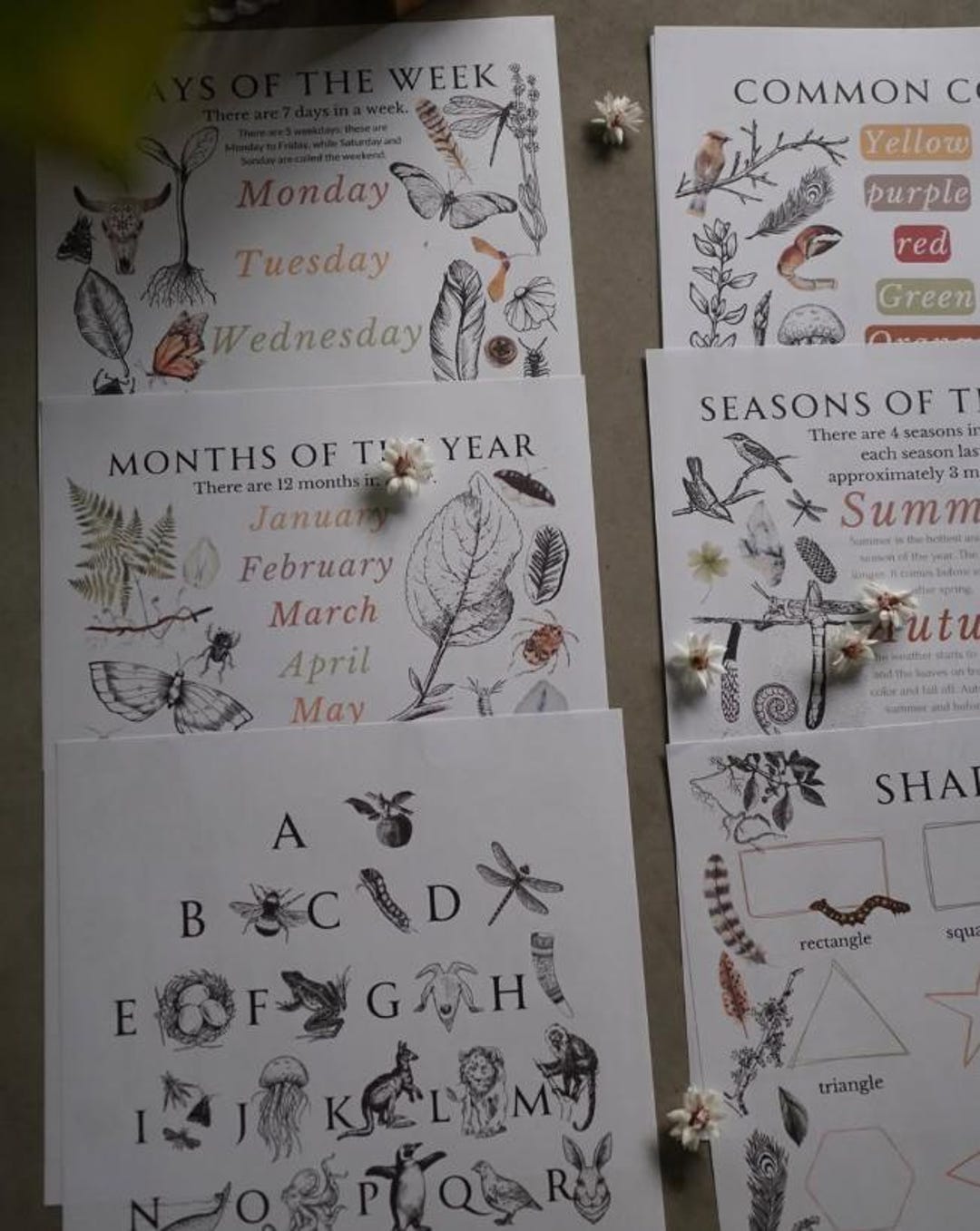 NATURE INSPIRED Educational Poster Pack - Nature School- Homeschool ...