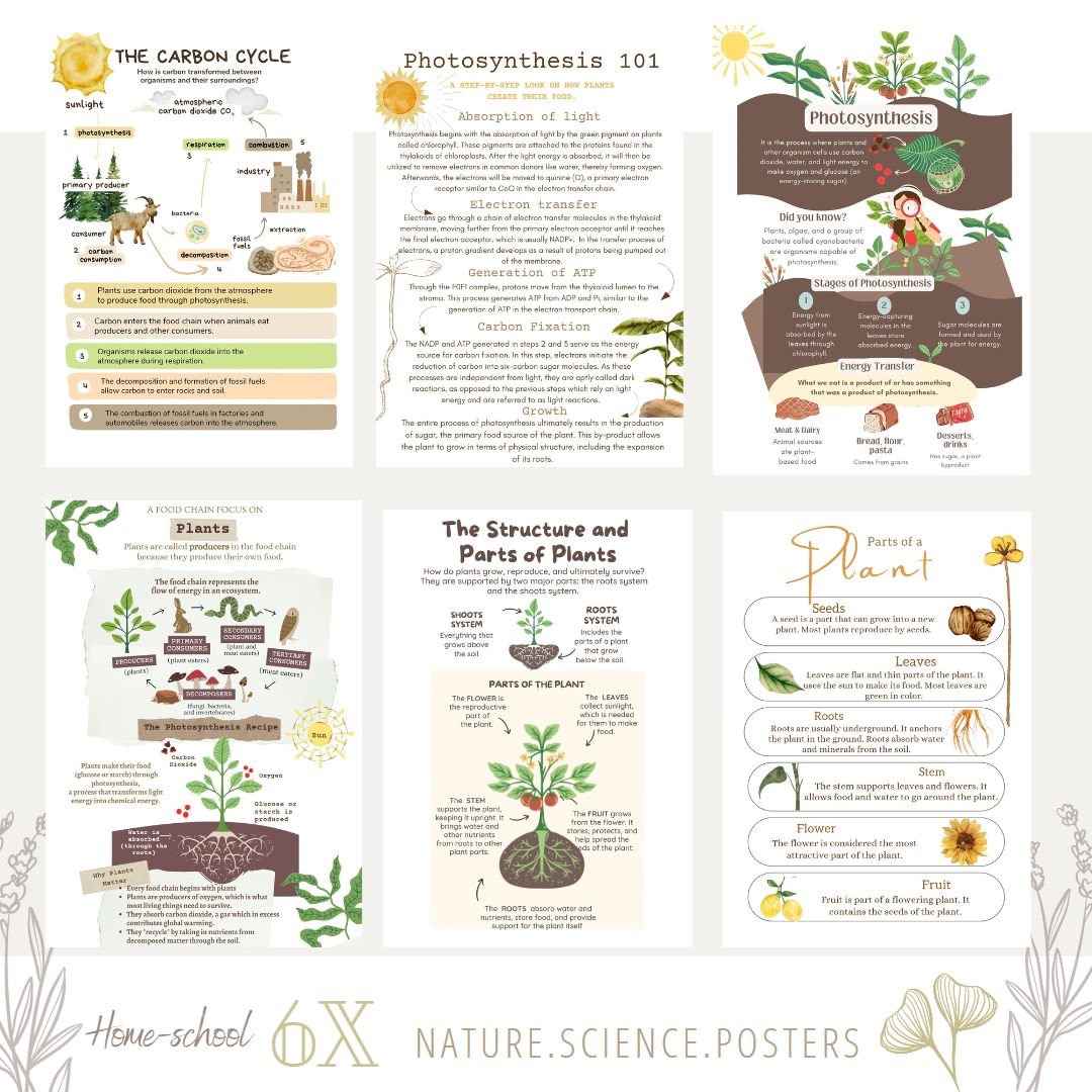 Nature Science Posters - Etsy