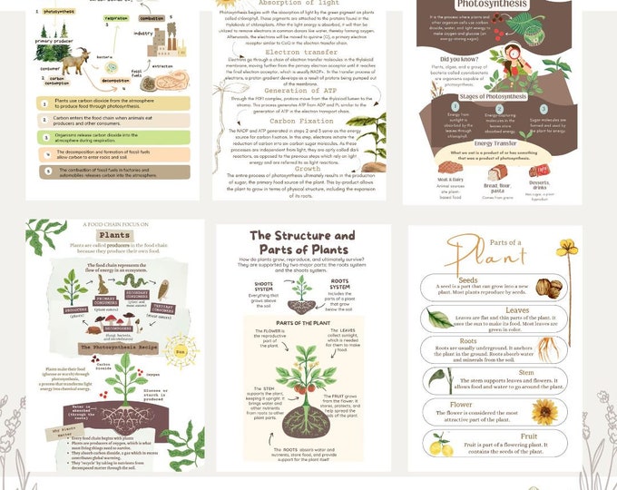 Nature Cycles Collection - Etsy Canada