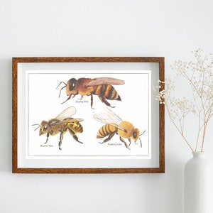 3 X BEE Posters | Homeschool |classroom |room Decor| - Etsy