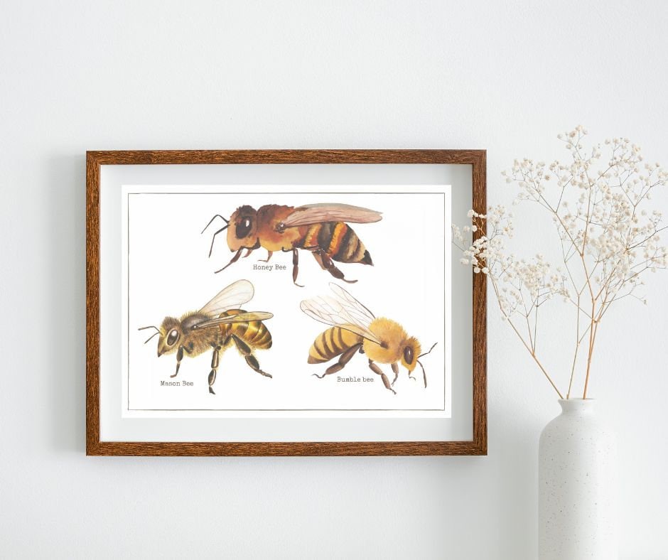 3 X BEE Posters Homeschool classroom room Decor - Etsy