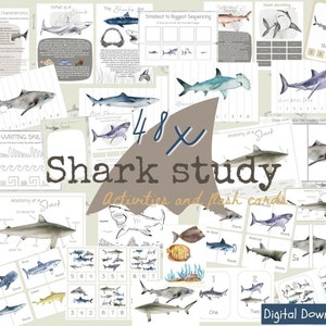 48x SHARK Study | MORNING BASKET | Activities | Flashcard | - Etsy