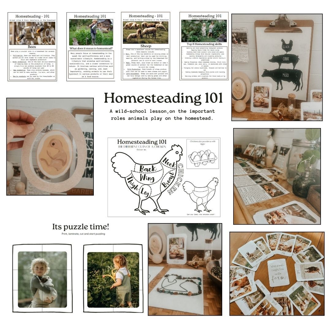 101 Homesteading Animal Roles and Their Importance on the Homestead-a ...