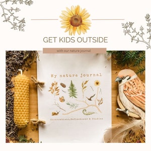Reggio Inspired MEGA BUNDLE - Nature Classroom / Homeschool Starter ...