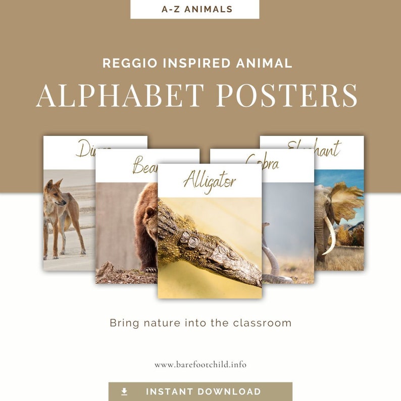 A-z Animal Posters - Etsy