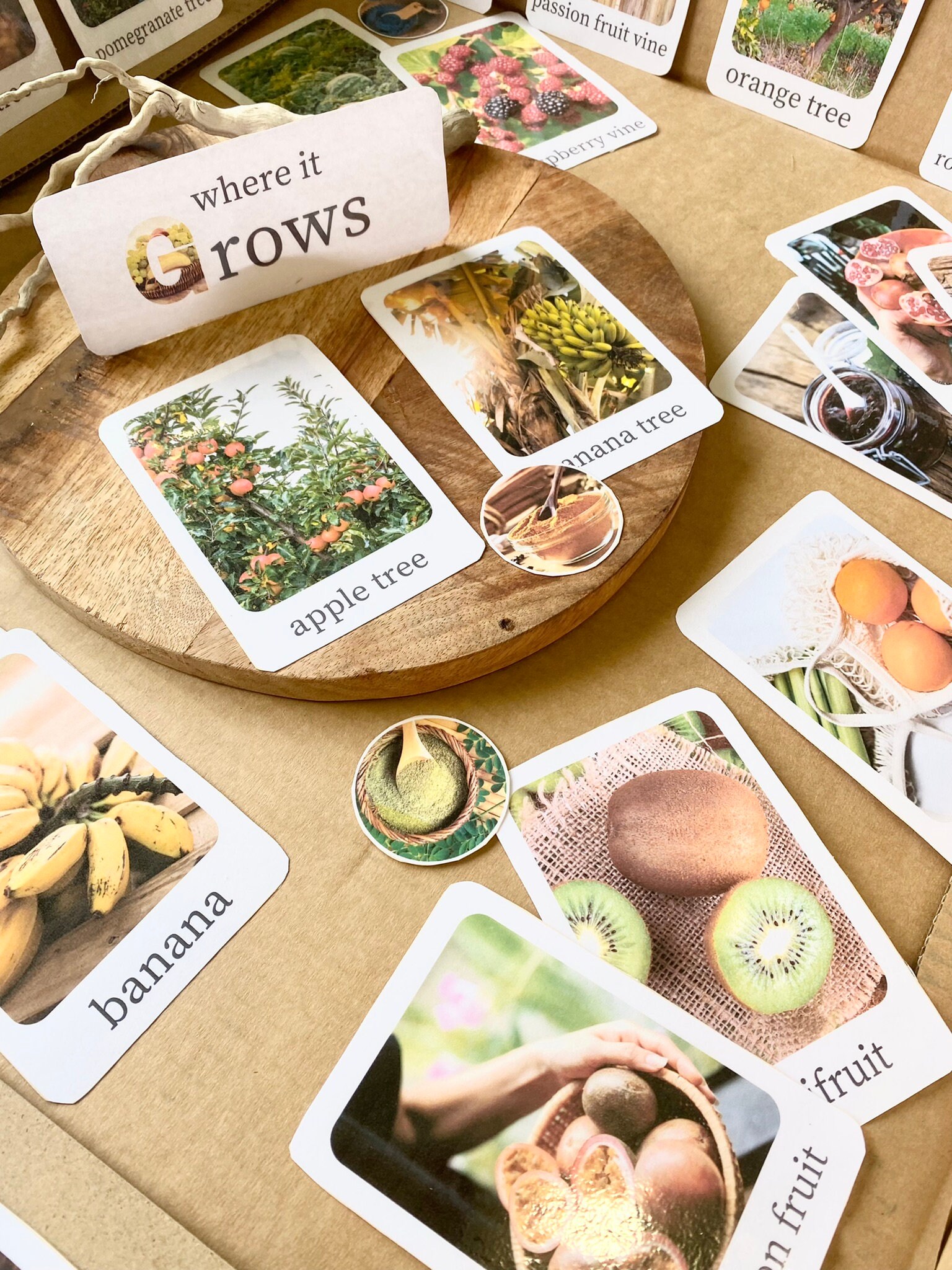 Reggio Inspired FRUIT and Its Trees FLASH CARDS - Etsy