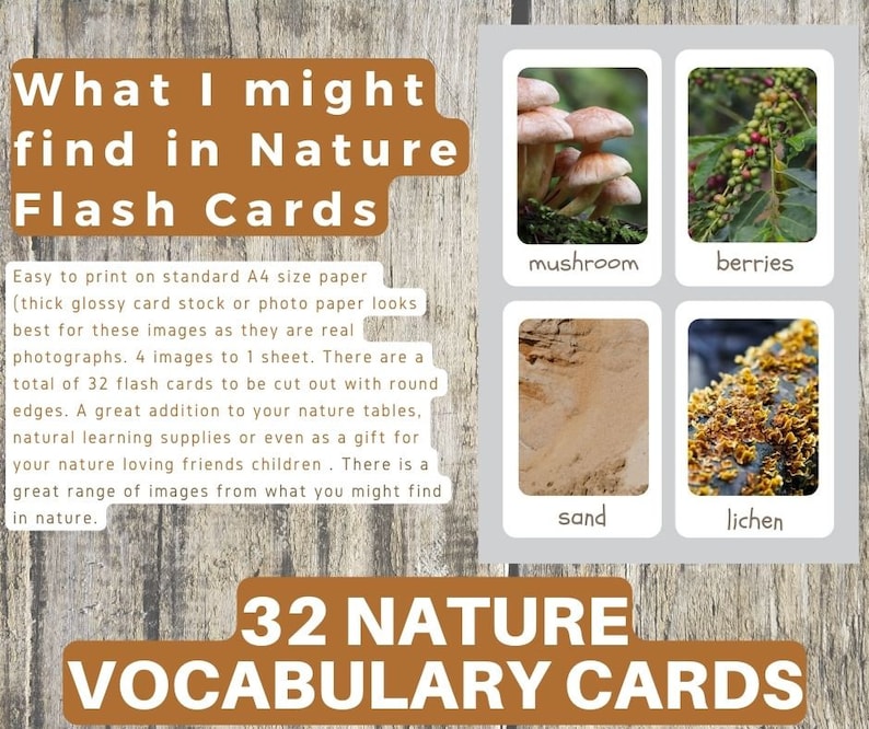 Reggio Emilia Inspired NATURE FLASH CARDS Real Life Nature - Etsy