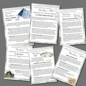 Winter Nature Journal With PLR /mrr-commercial Use - Etsy