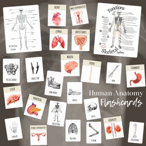 Doctor Dramatic Play Pack Plus Human Anatomy Flashcards- HALLOWEEN - Etsy