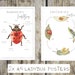 NATURE Inspired Classroom POSTERS BUNDLE| Reggio Emillia |forest School ...