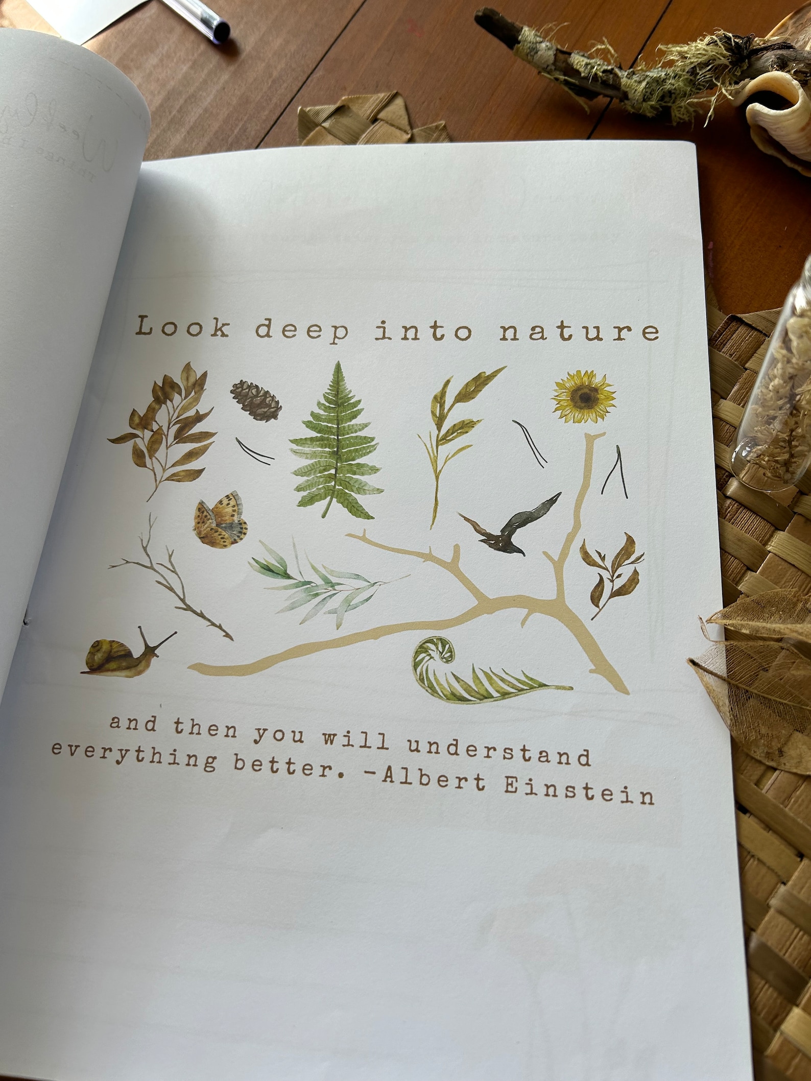 My Nature Journal - Etsy Australia