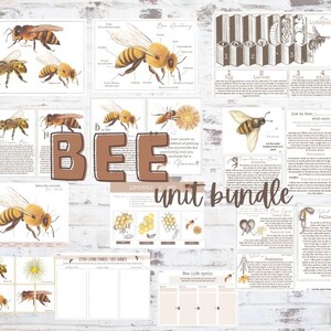 Mini Bee Study Flashcards - Etsy