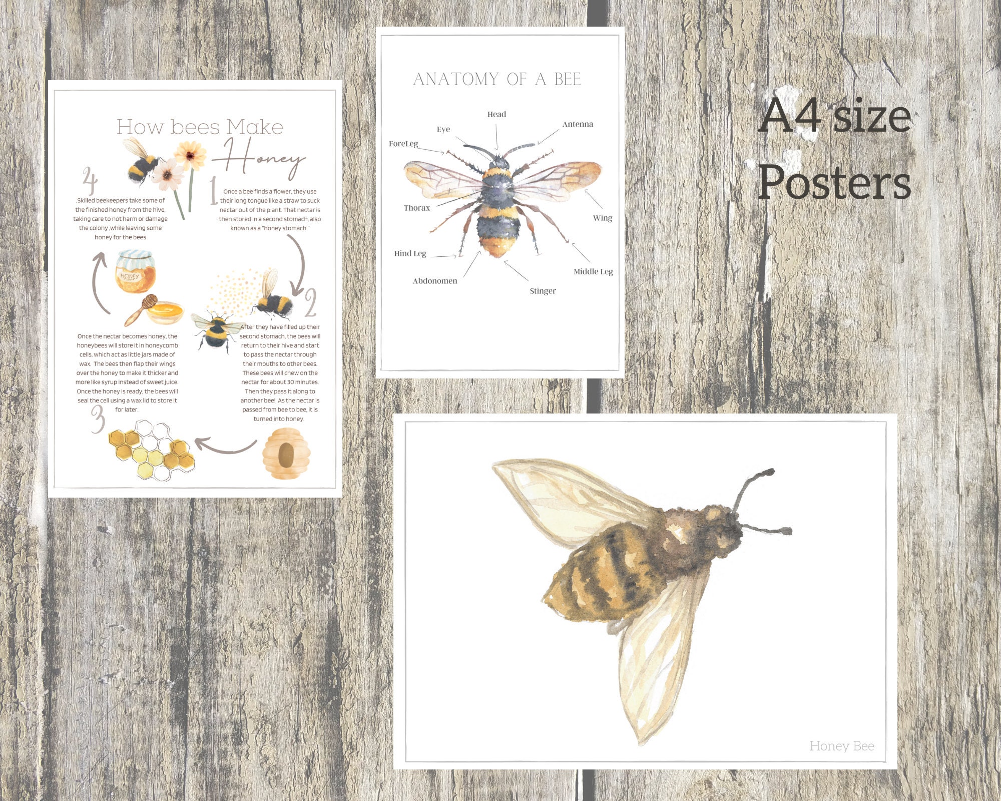 Mini Nature BEE UNIT - Etsy