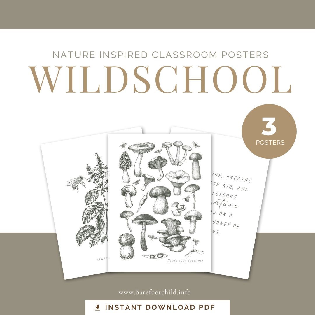 REGGIO INSPIRED Nature Classroom Posters Vintage X3 WILDSCHOOL - Etsy