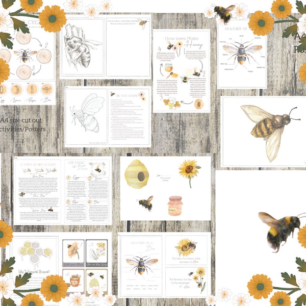 Honey Bee Unit - Etsy