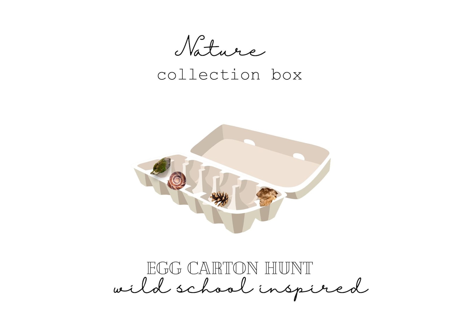 Nature Hunt Egg Carton -forest School , Bush School , Nature School - Etsy