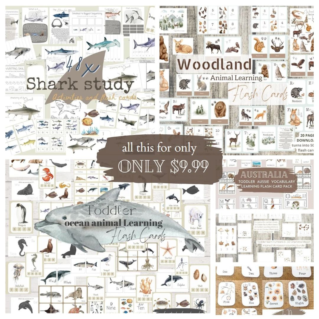 Morning Basket BUNDLE Nature Inspired - Etsy Australia