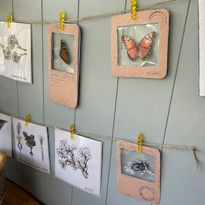 DIY Specimen Slides- Wildschool - Reggio Emillia - Etsy