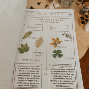SPRING Study and Journal Pack- 50 Pages- Nature Inspired - Etsy