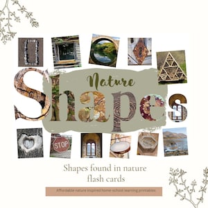 Reggio Inspired MEGA BUNDLE - Nature Classroom / Homeschool Starter ...