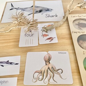 OCEAN Animal Morning Basket - Etsy