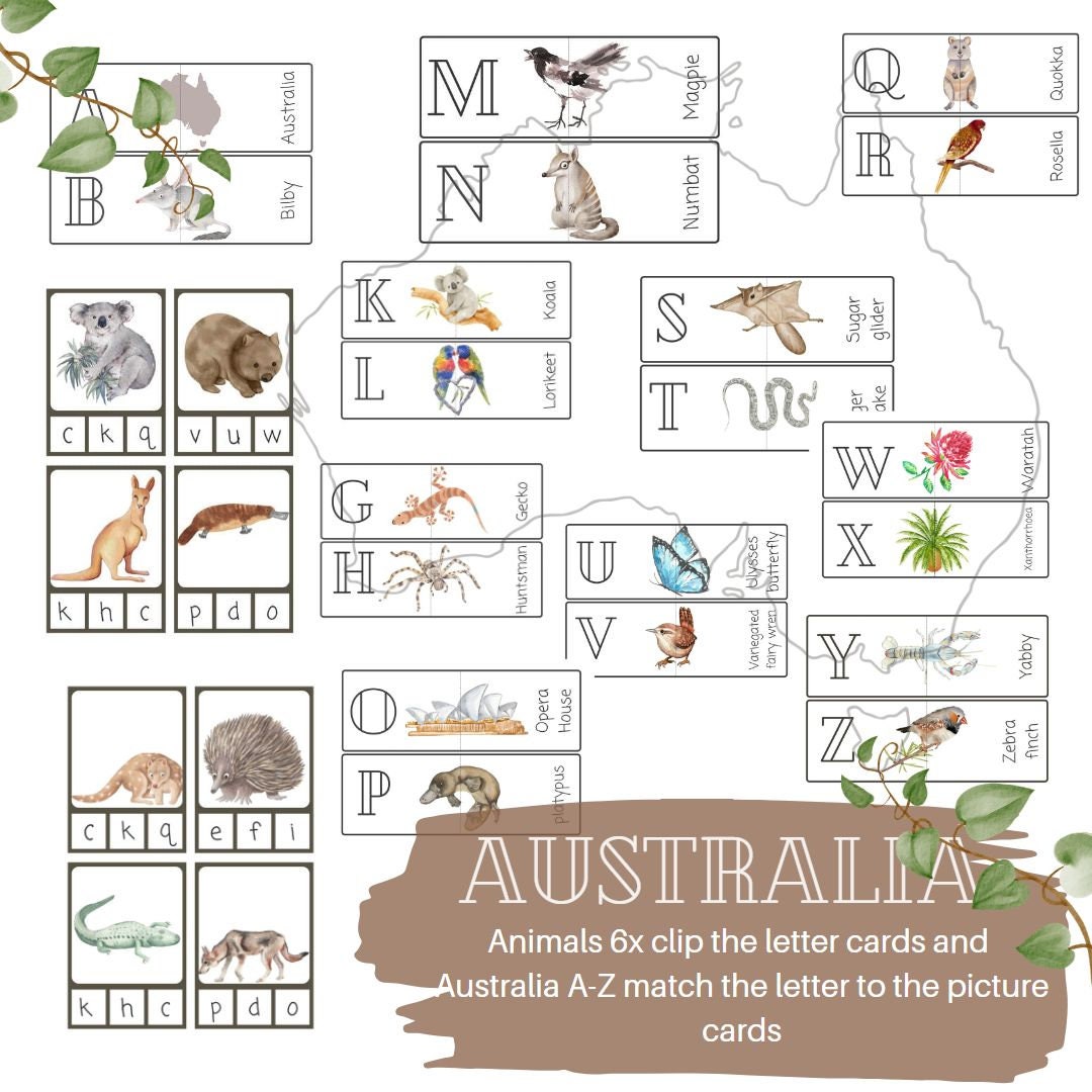 AUSTRALIA Flashcards |VOCABULARY - Ausisie Native Animal | Morning ...