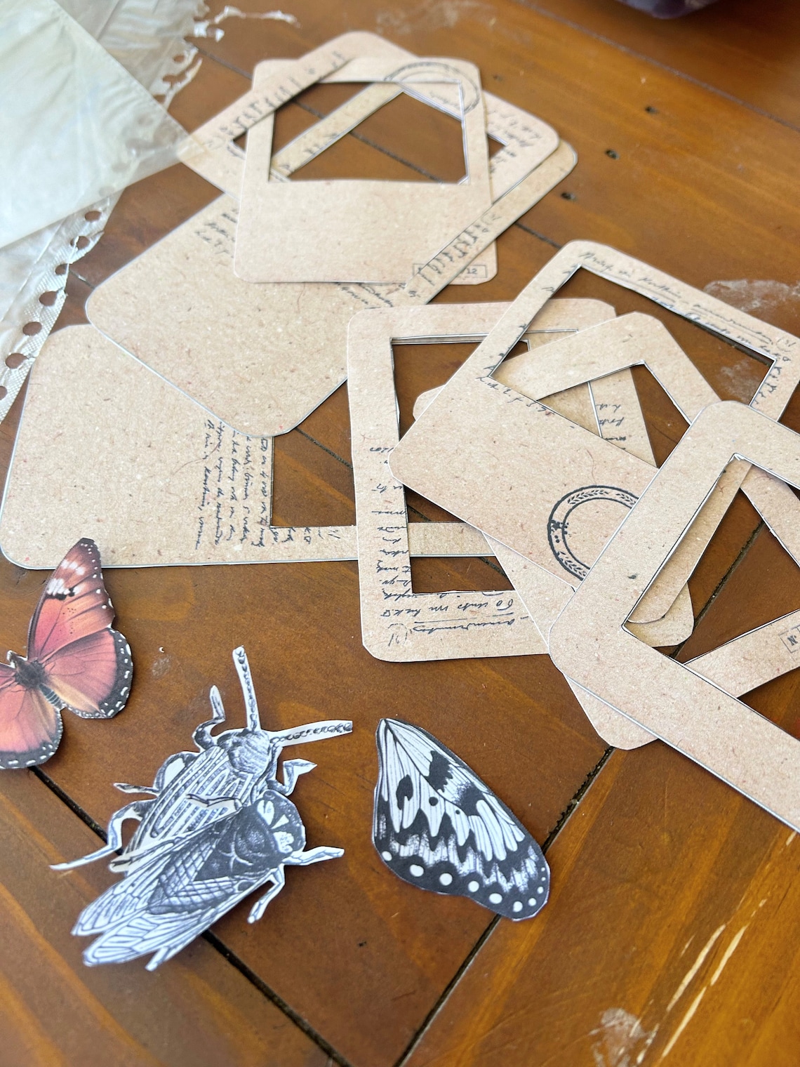 DIY Specimen Slides- Wildschool - Reggio Emillia - Etsy UK