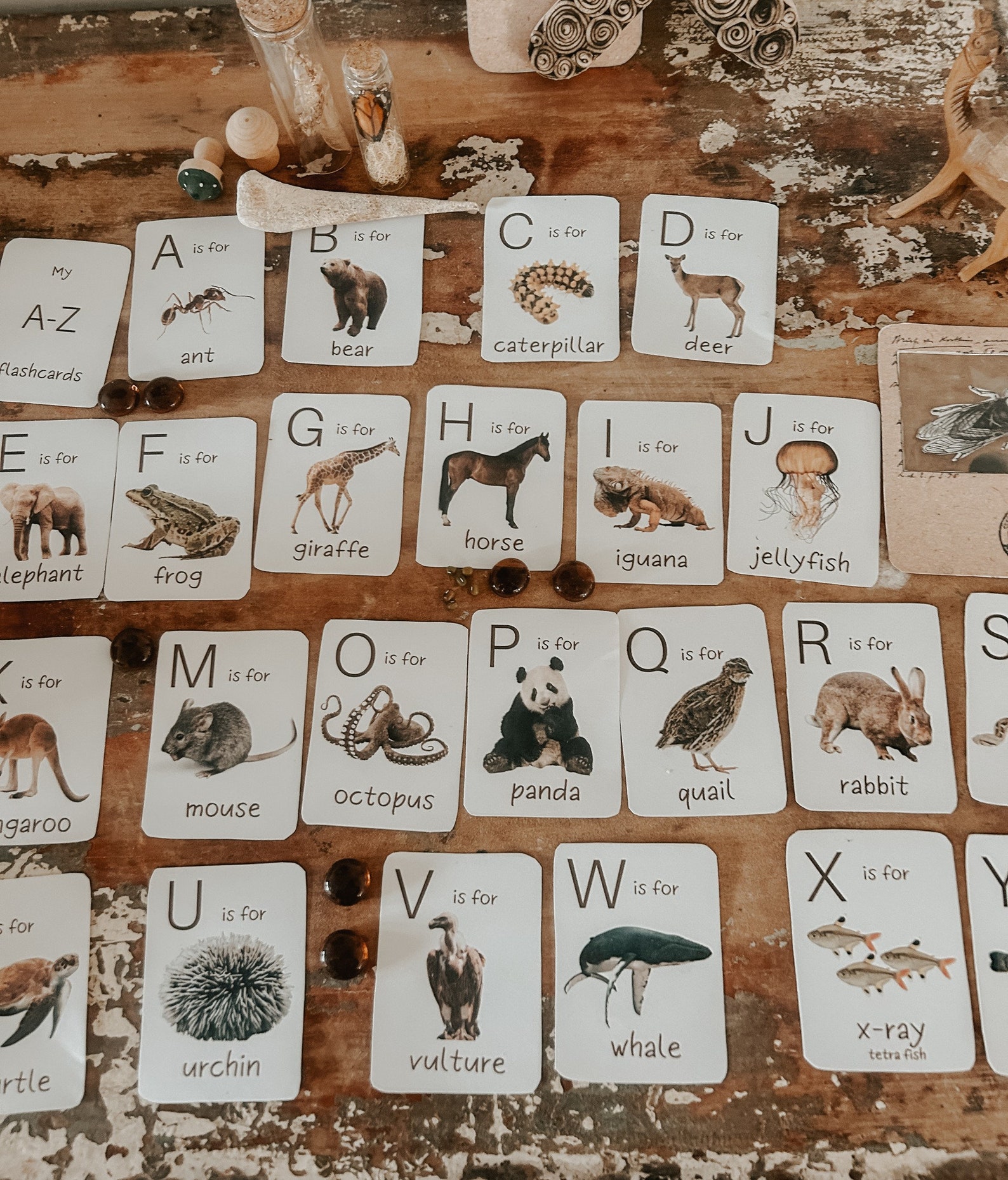 A-Z Animal Alphabet FLASHCARDS- Reggio Inspired- Wildschool - Etsy