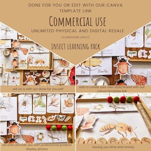 Commercial Use , Kids Early Learning Insect Pack , Resale Plr - Etsy