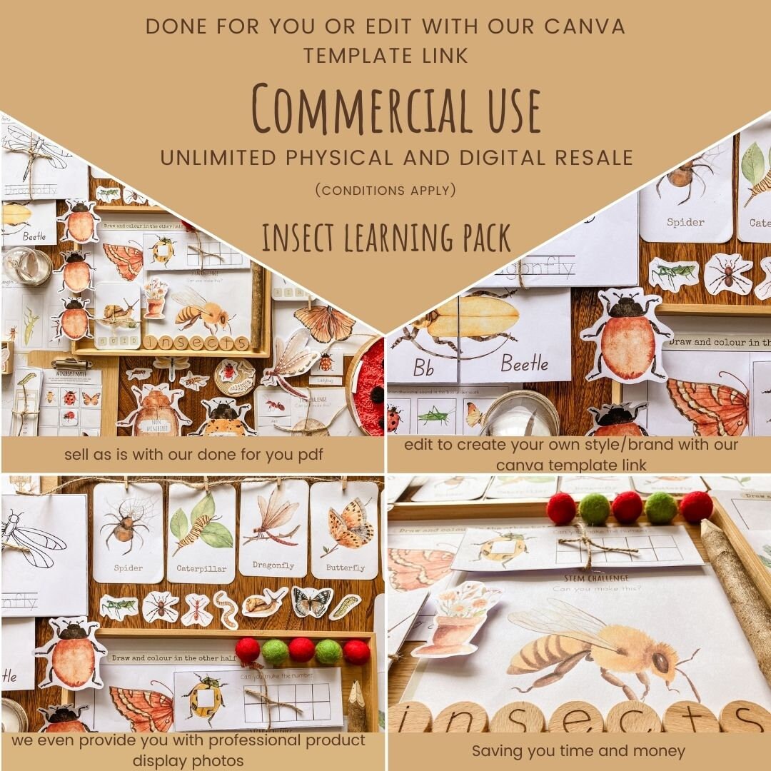 Commercial Use , Kids Early Learning Insect Pack , Resale Plr - Etsy
