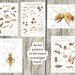 Mini Insect Unit - Nature Study - Etsy