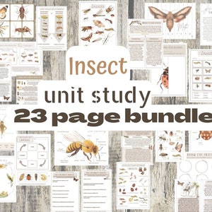 Mini Insect Unit - Nature Study - Etsy