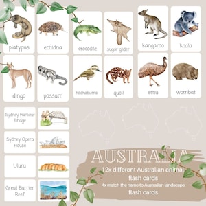AUSTRALIA Flashcards |VOCABULARY - Ausisie Native Animal | Morning ...