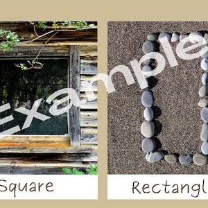 Reggio Inspired -NATURE SHAPES - Real Photographs- Flashcards\poster - Etsy