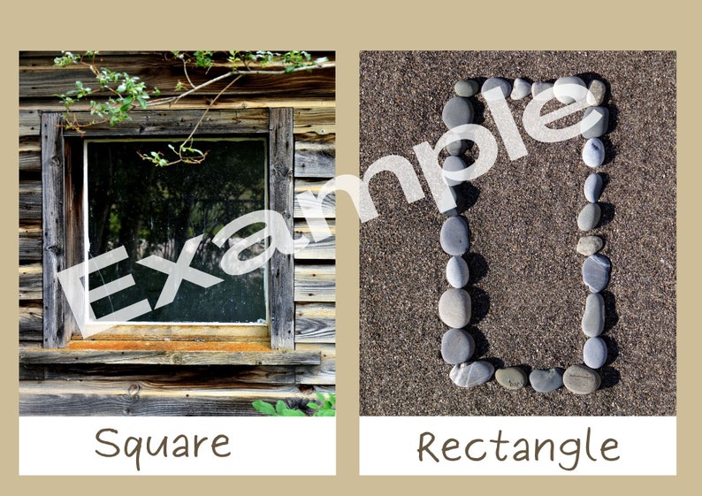 Reggio Inspired -NATURE SHAPES - Real Photographs- Flashcards\poster - Etsy