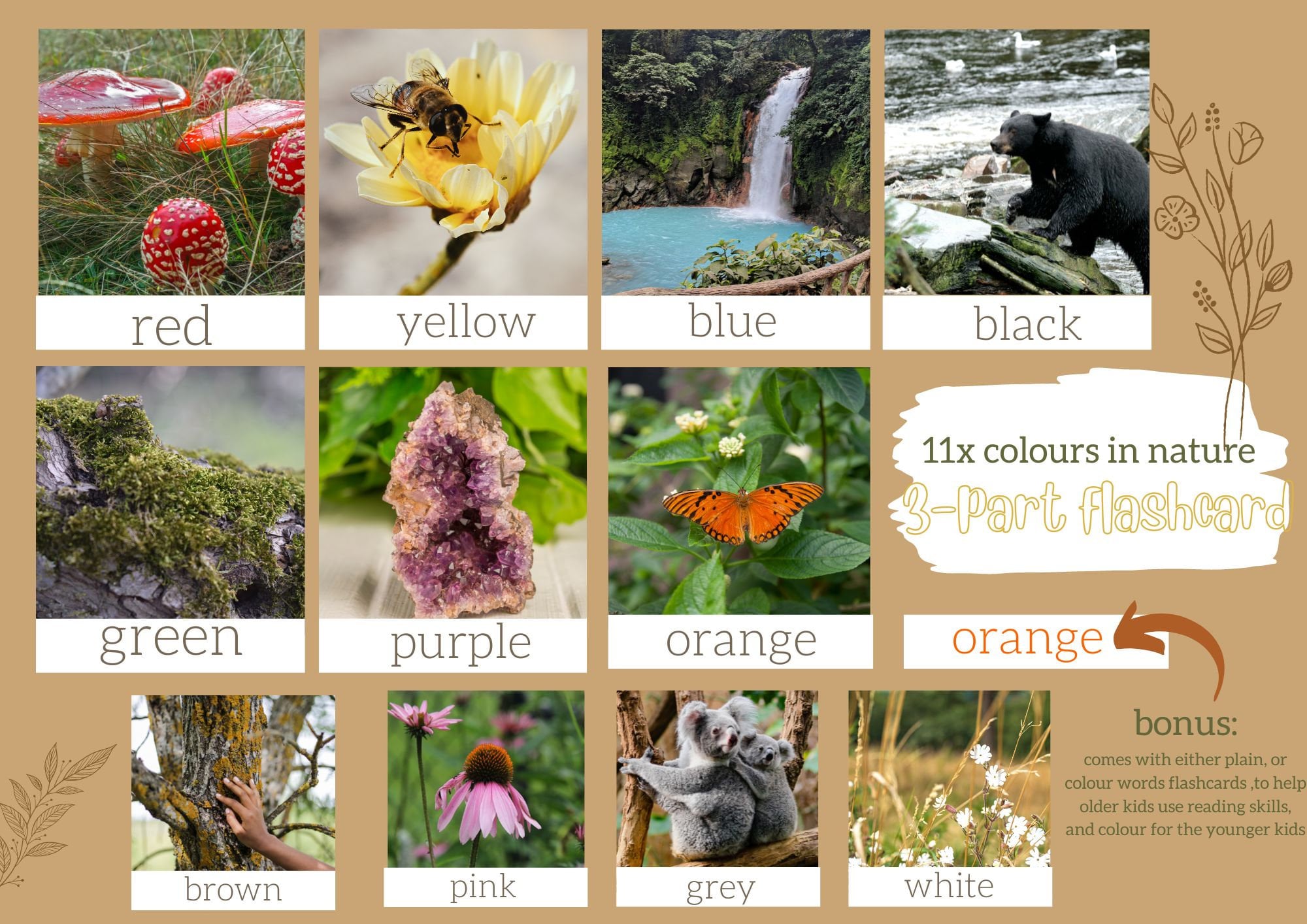 Colours in Nature | Morning Basket | Montessori | Nature School - Etsy