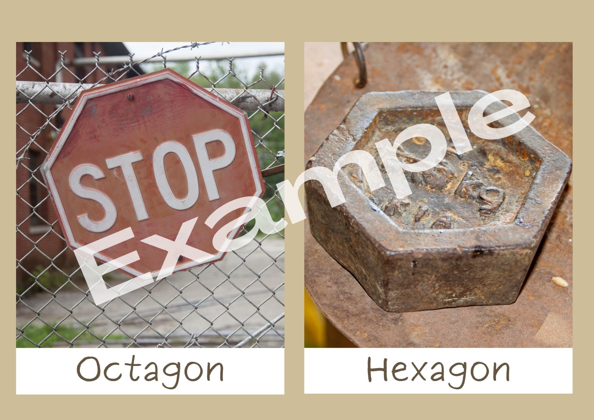 Reggio Inspired -NATURE SHAPES - Real Photographs- Flashcards\poster - Etsy