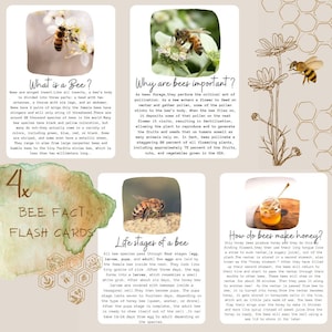 BEE STUDY - Morning Basket - Reggio Inspired - Montessori - Etsy