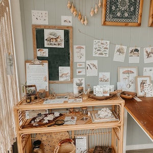 Bundle of Bundles - A Nature Inspired Educational Bundle, Reggio ...