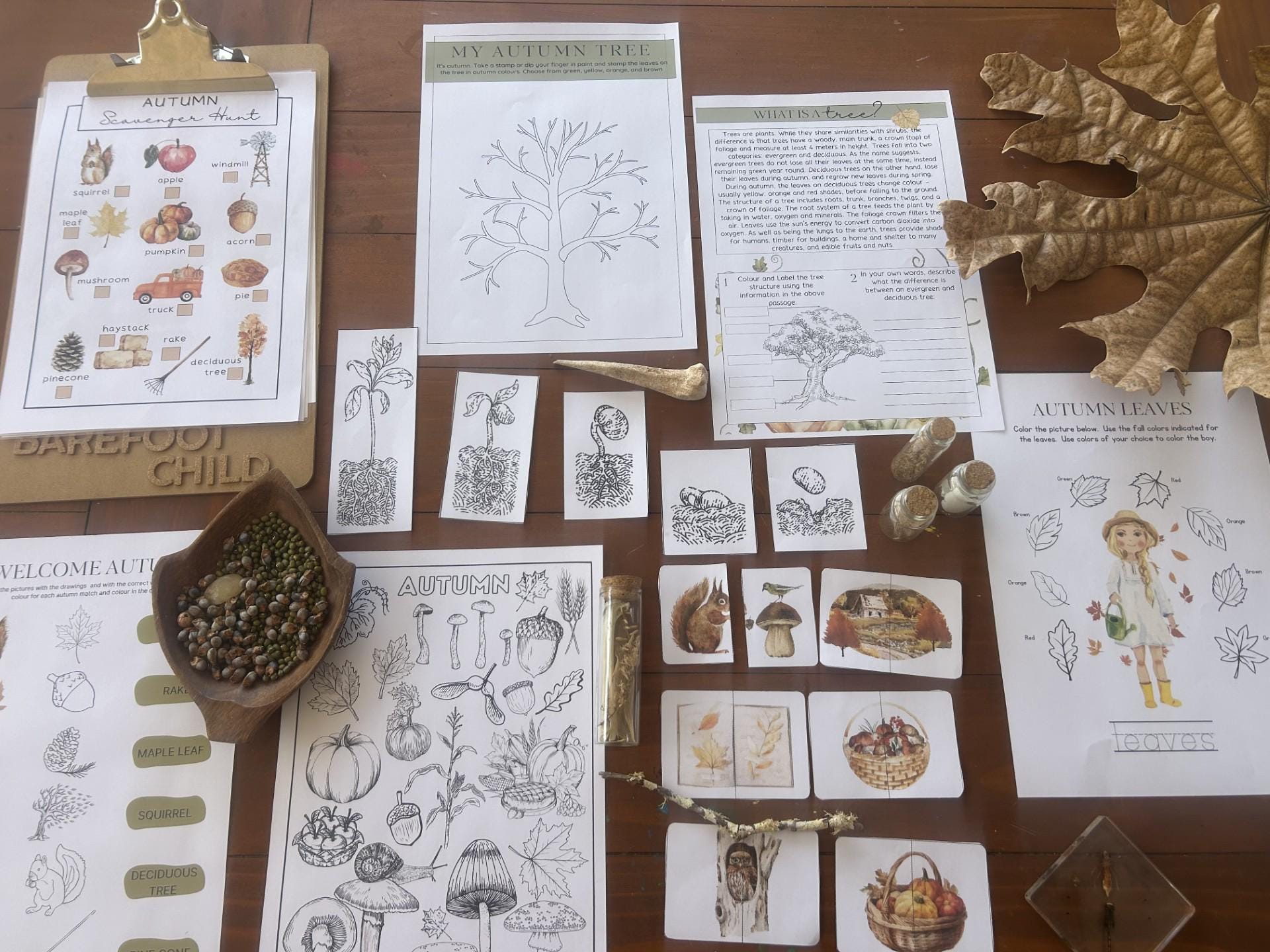 Nature in Autumn ACTIVITY and Worksheet Pack- 90pages - NATURE School ...