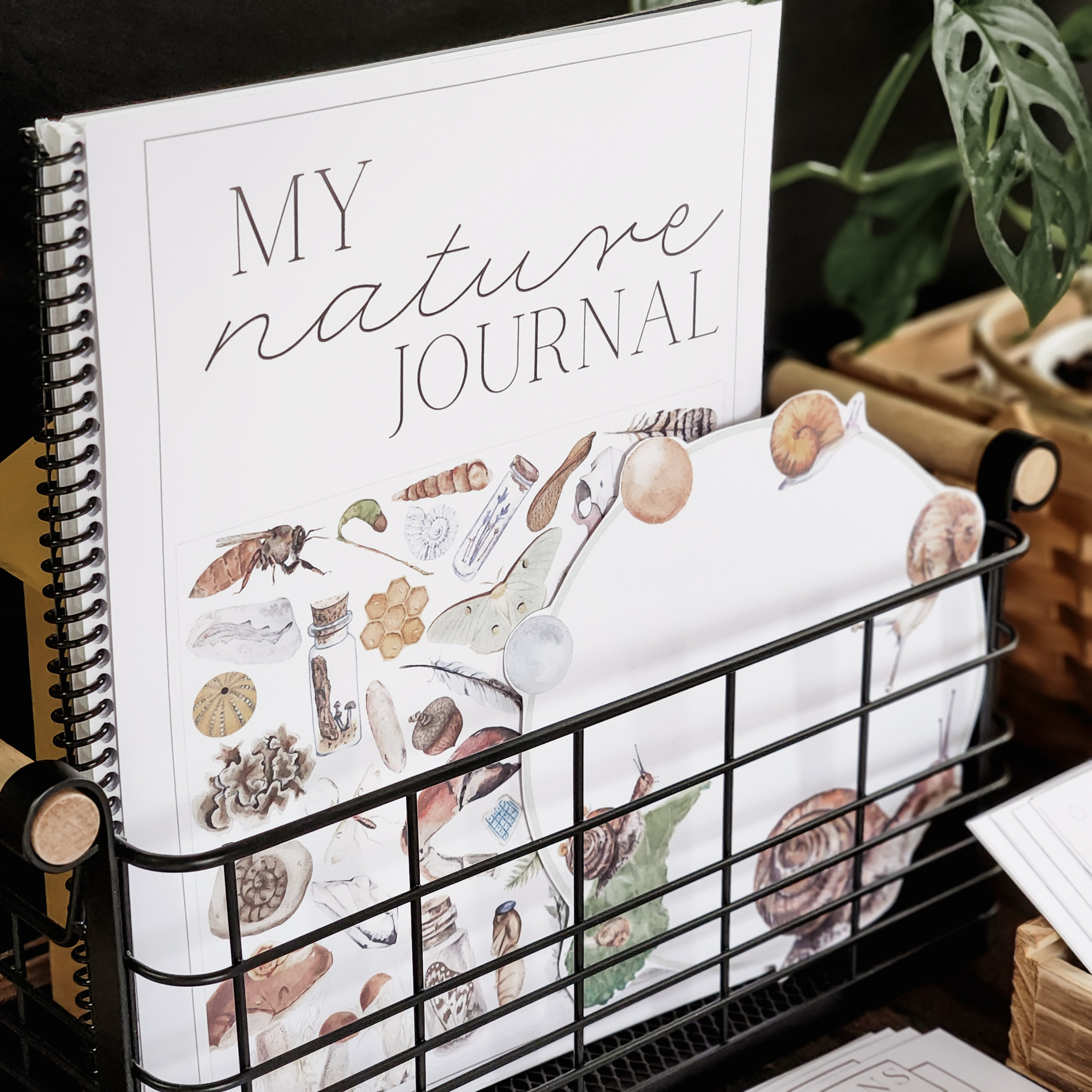 SPRING Study and Journal Pack- 50 Pages- Nature Inspired - Etsy