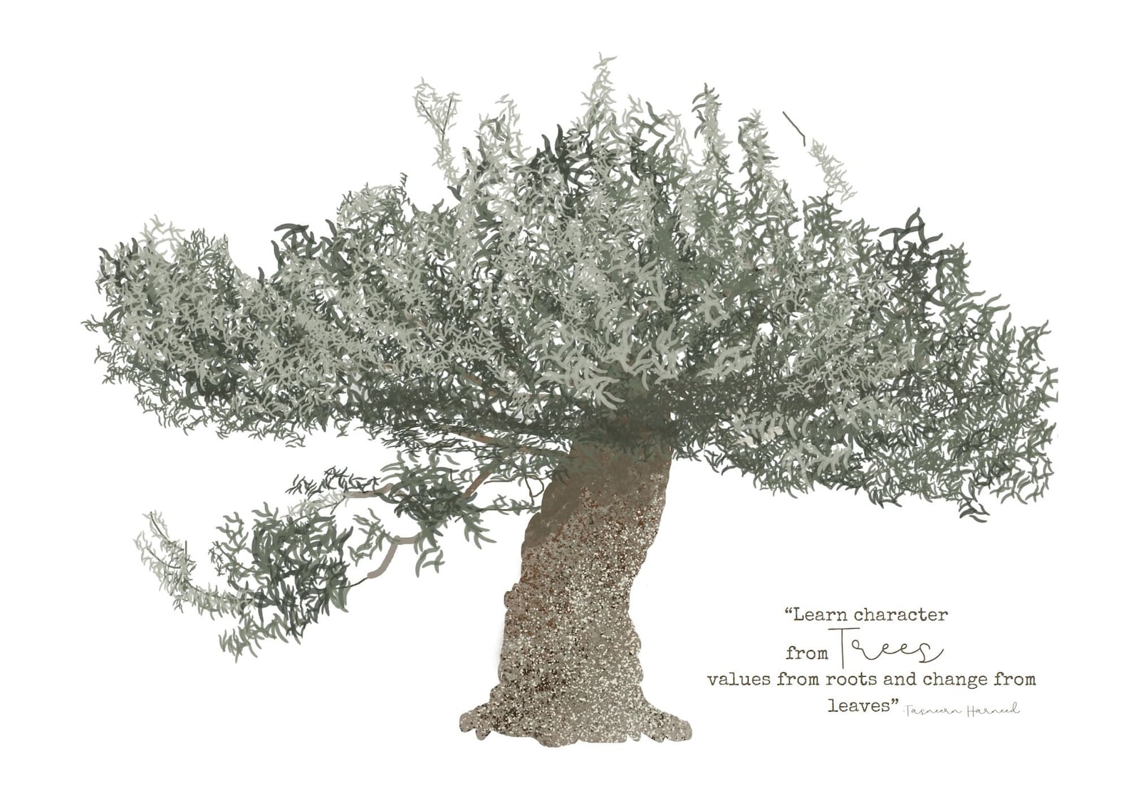 NATURE Inspired Classroom POSTERS BUNDLE Reggio Emillia - Etsy