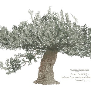 NATURE Inspired Classroom POSTERS BUNDLE| Reggio Emillia |forest School ...