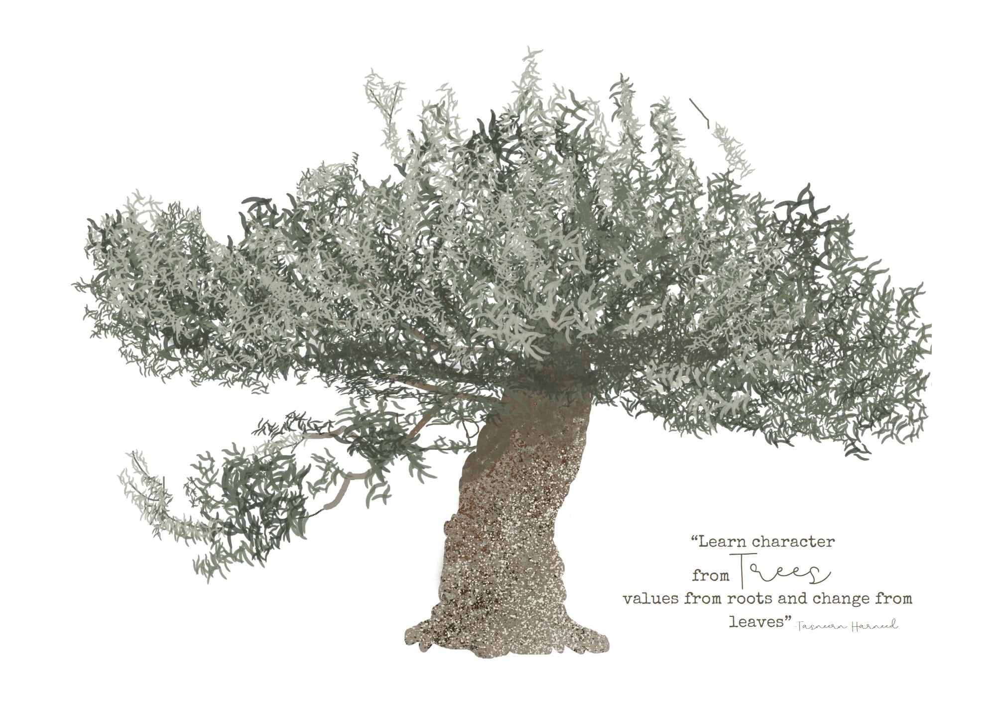 NATURE Inspired Classroom POSTERS BUNDLE| Reggio Emillia |forest School ...