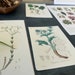 Vintage Botanic Classroom Decor - Charlotte Mason - Reggio Emillia - Etsy