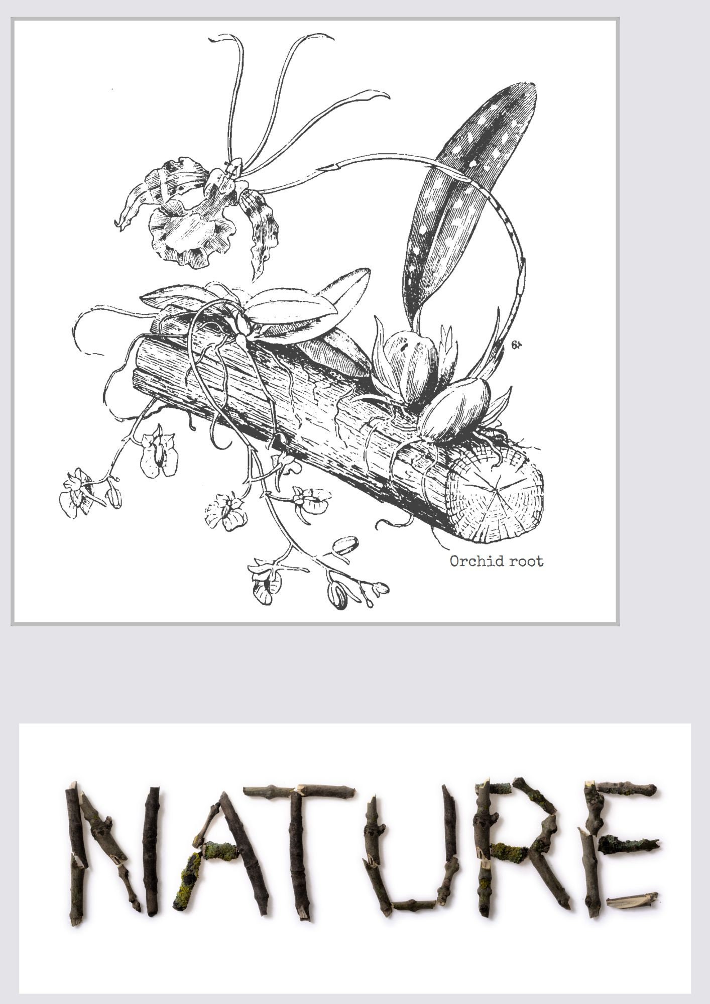 NATURE Inspired Classroom POSTERS BUNDLE| Reggio Emillia |forest School ...