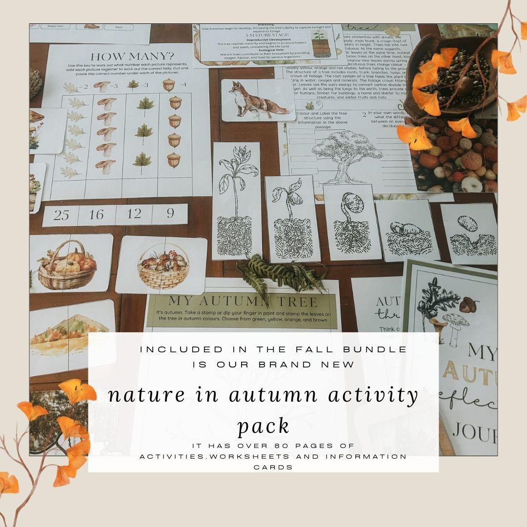 Nature in Autumn ACTIVITY and Worksheet Pack- 90pages - NATURE School ...