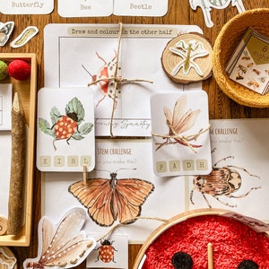 Mini Beast - Insect MORNING BASKET BUNDLE - Etsy