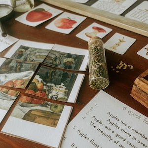 Apple Unit Study - Charlotte Mason - Nature Study - Etsy